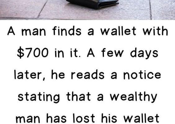 The Lost wallet – Story - Story