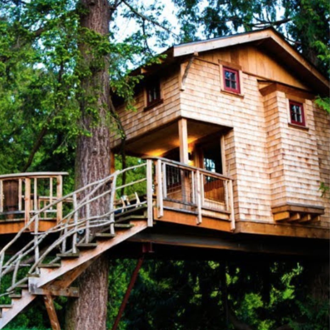“Living Among the Trees”: Cozy Retreat in Seattle by Treehouse Masters ...