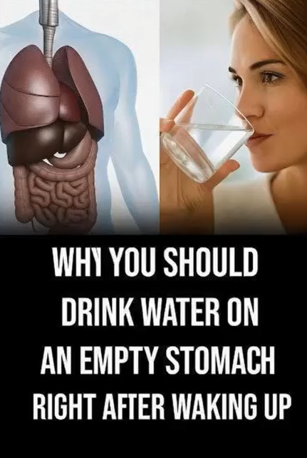 Why Drinking Water in the Morning Matters - Story