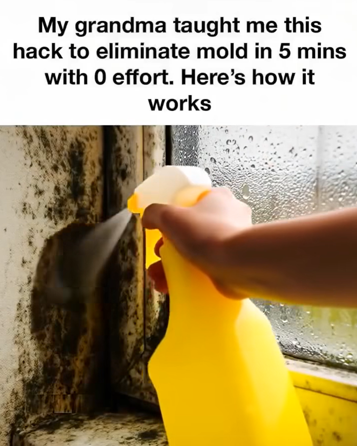 A Simple, Safe Way to Remove Mold with Hydrogen Peroxide - Story