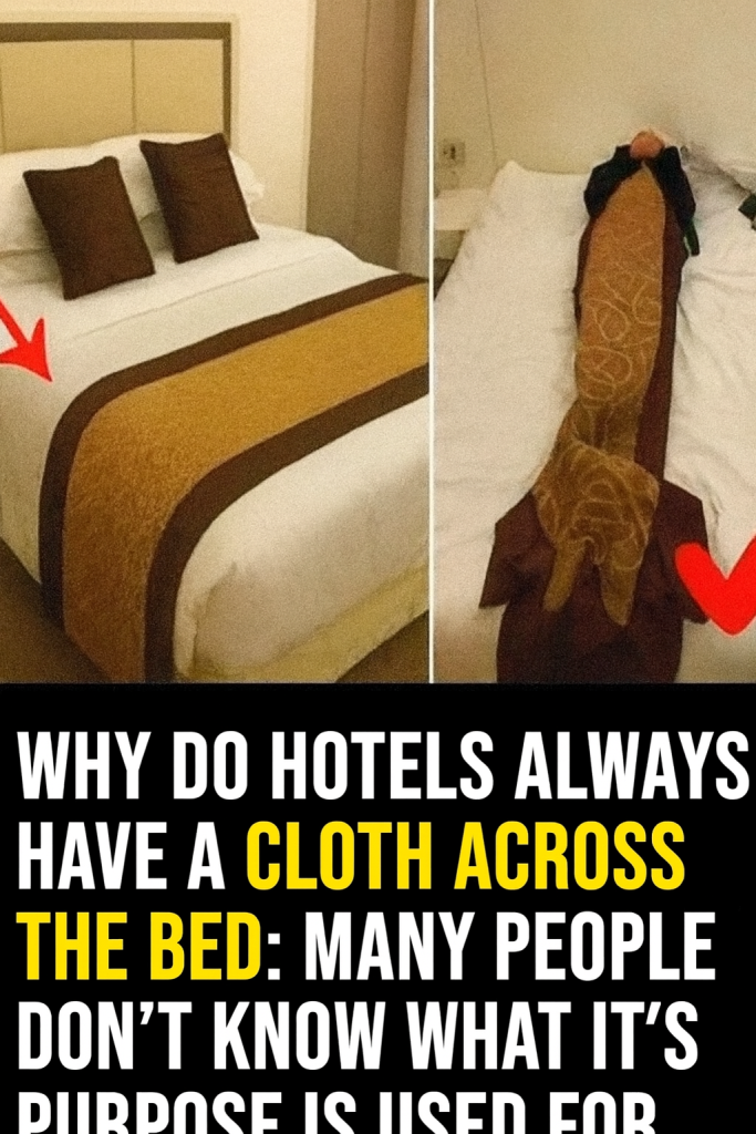 How to Understand the Real Purpose of the Fabric Strip Found on Hotel ...