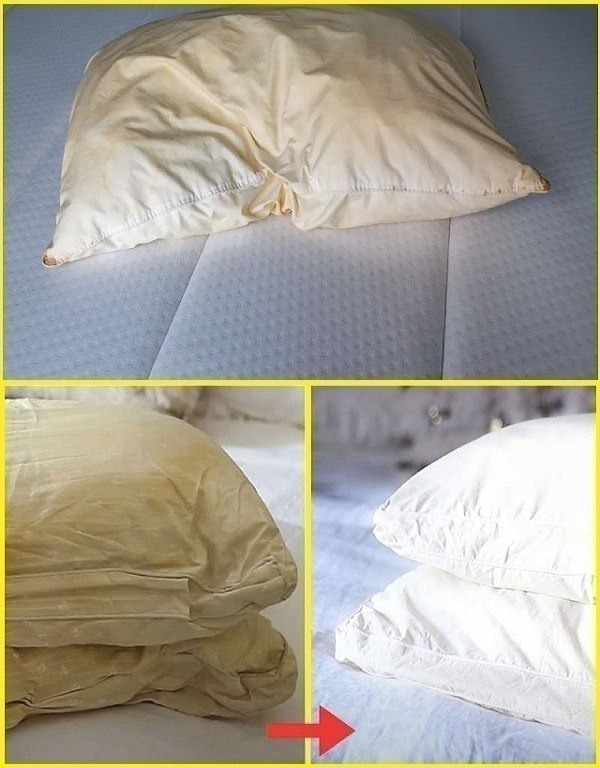 How to Keep Your Pillows Fresh, Clean, and Comfortable Over Time - Story